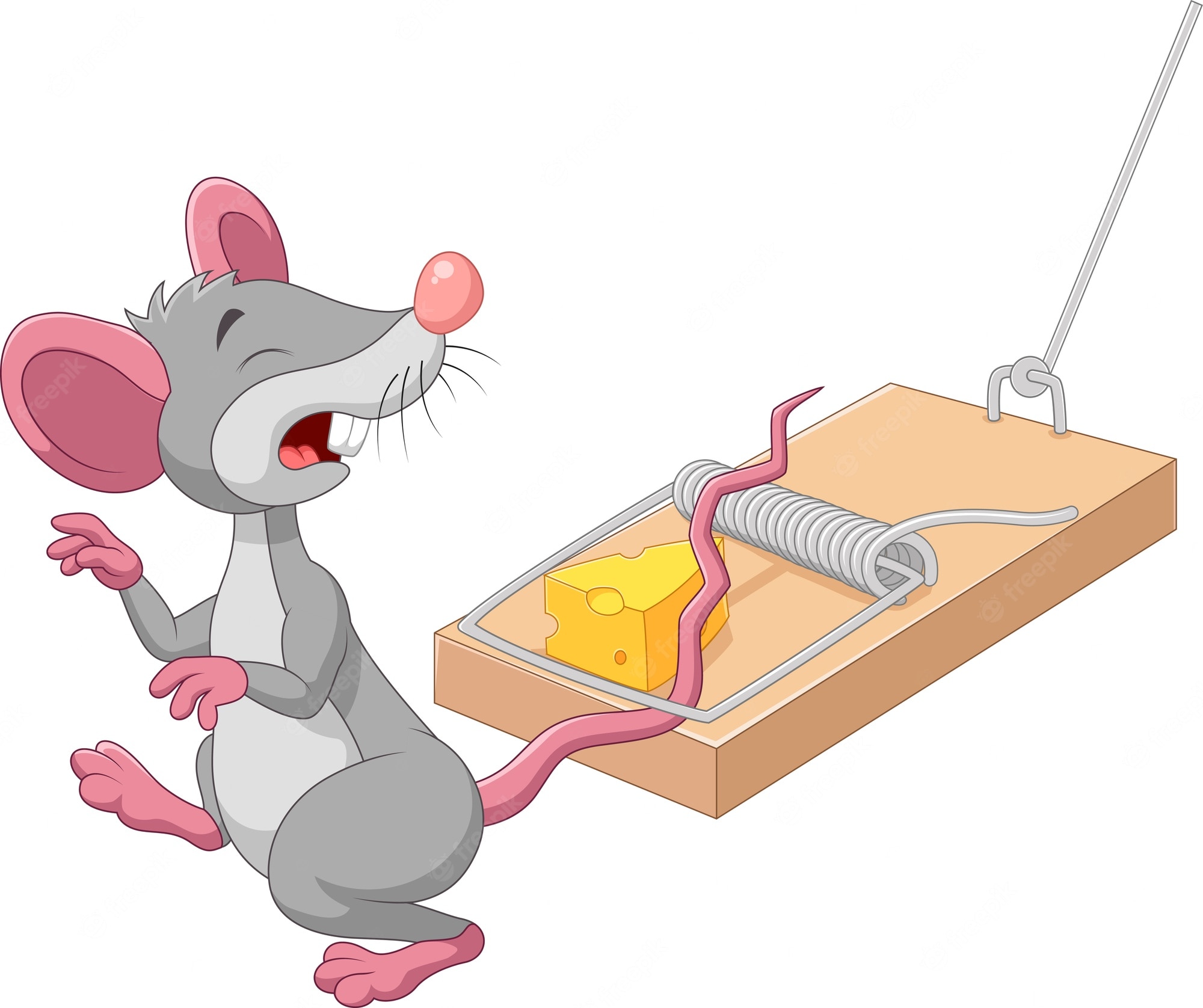 7 Best Traps To Get Rid Of Mouse, Flies, Fruit Flies Etc..